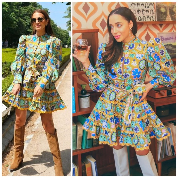 CeliaB | Dresses | Celia B Retro Floral Mini Dress Long Sleeve Ruffle ...